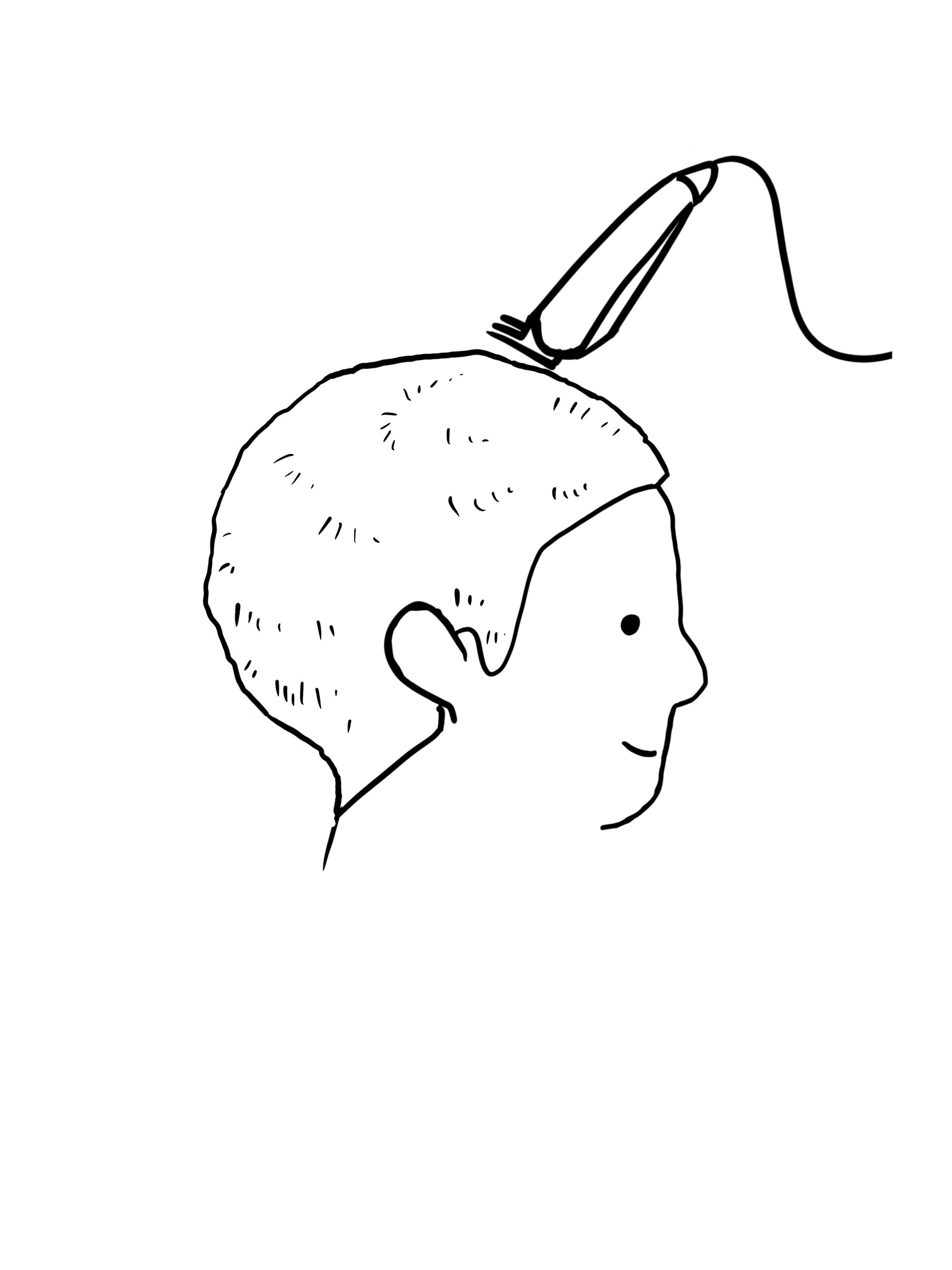 Services – Simple trim with clippers (and scissors) | Open Out